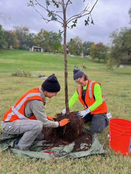Heartland Tree Alliance Tree Planting - Troostwood - Uncover KC